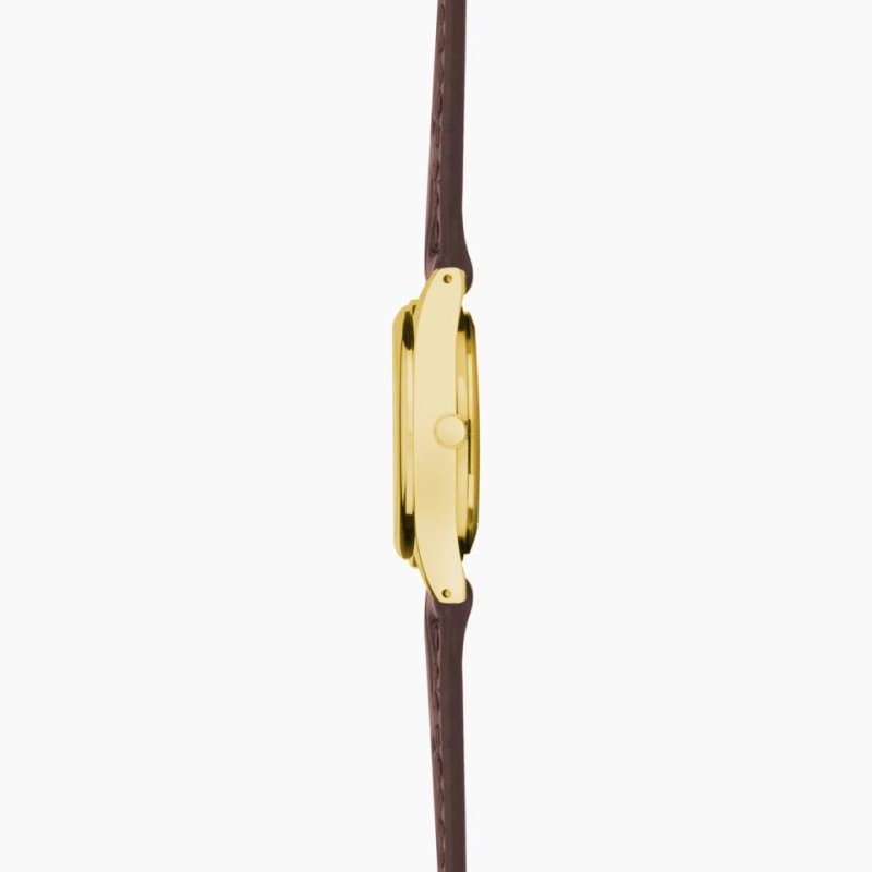 Sekonda Evans Ladies Watch Gold Alloy Case & Brown Leather Strap with ...