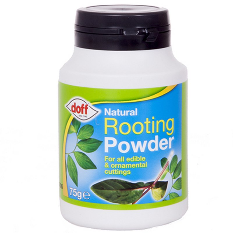 Hormone Rooting Powder 75g | Selectric